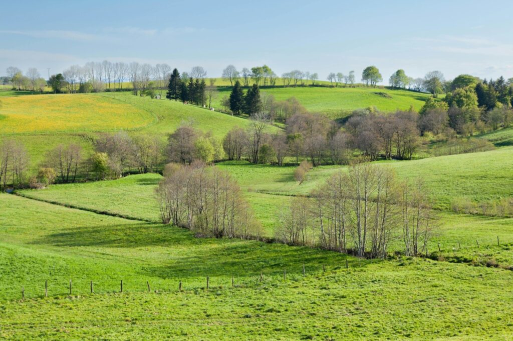 Gas poplatky – Ekonomická encyklopédia